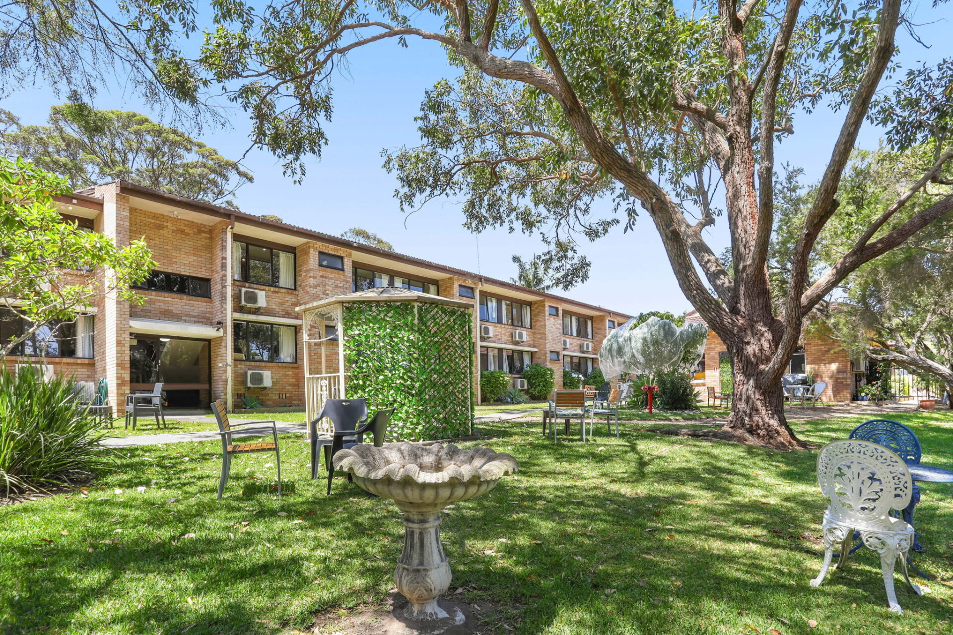 Home | Ibis Care Aged Care